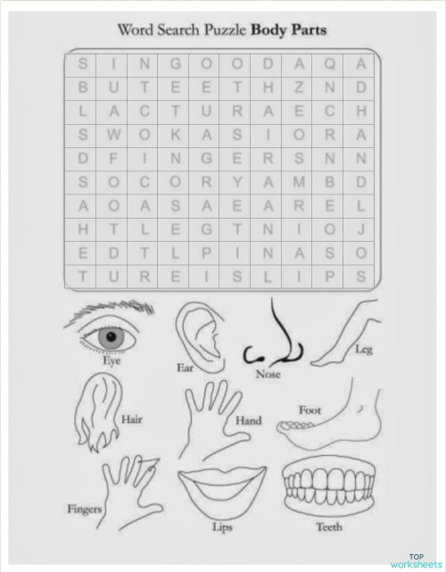1 word search puzzle body parts. Interactive worksheet | TopWorksheets