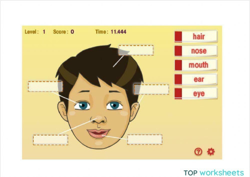 Face parts. Interactive worksheet | TopWorksheets