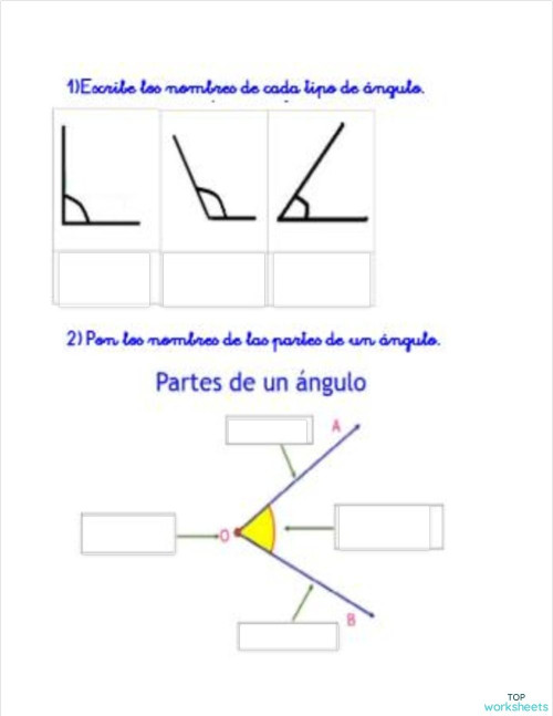 PARTES DE UN ÁNGULO. Ficha interactiva | TopWorksheets