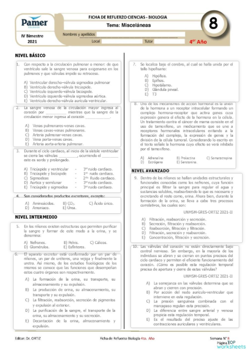 FICHA 4TO SEM 8 IV BIM. Ficha interactiva | TopWorksheets
