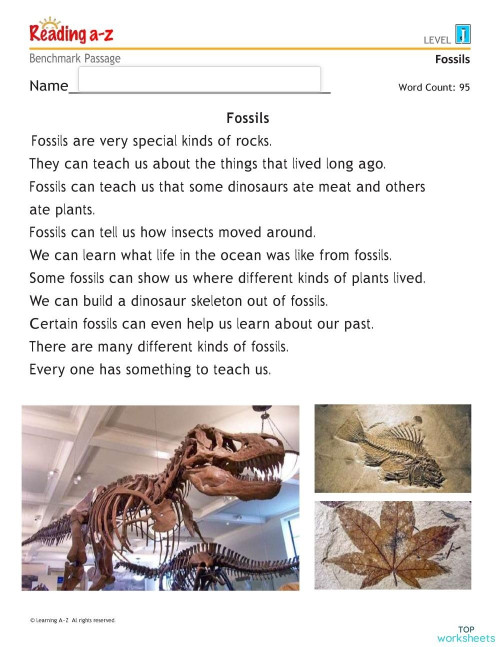 Fossils Level J. Interactive worksheet | TopWorksheets