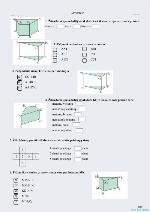 Prizmės ir jų elementai. Interactive worksheet | TopWorksheets