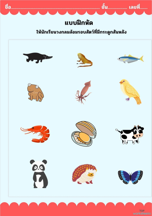 ใบงาน Coding P2 Hardware Soft ware ใบงานเชิงโต้ตอบ | TopWorksheets