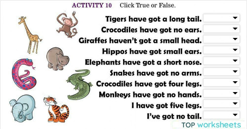 Other: interactive worksheets and online exercises | TopWorksheets