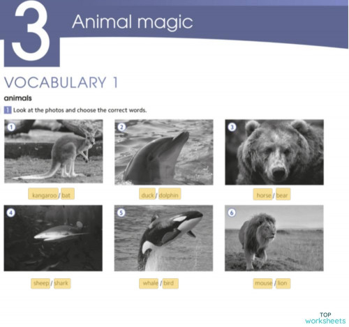 Animal Magic Vocabulary Part 2. Interactive worksheet | TopWorksheets