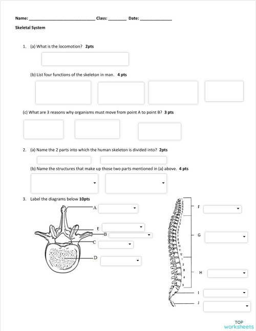 Year 6 Science | PSR 2018 Paper 2 (Section A). Interactive worksheet ...