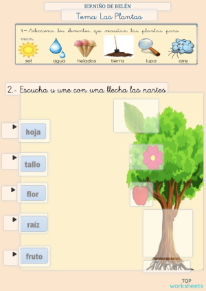 Las plantas. Ficha interactiva | TopWorksheets