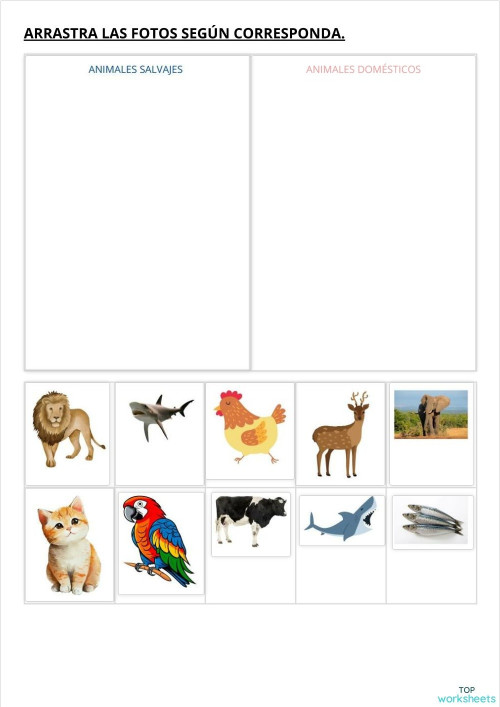 Animales salvajes y domésticos interactivos. 1ºEP. Ficha interactiva ...