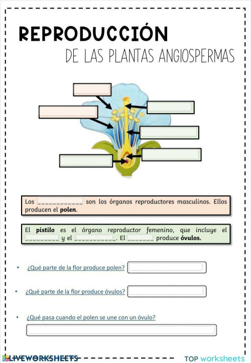 Reproducción plantas. Ficha interactiva | TopWorksheets