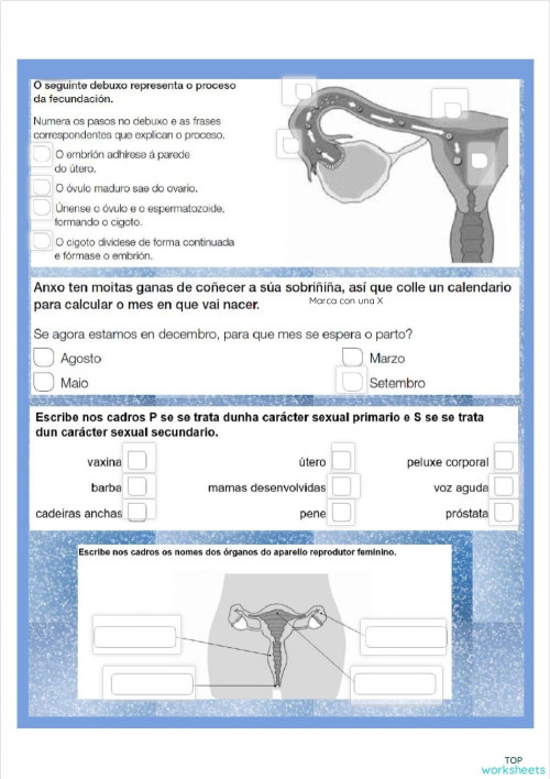 REPRODUCIÓN. Interactive worksheet | TopWorksheets