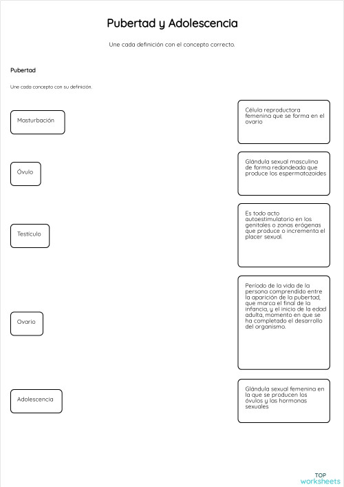 Pubertad y Adolescencia. Ficha interactiva | TopWorksheets