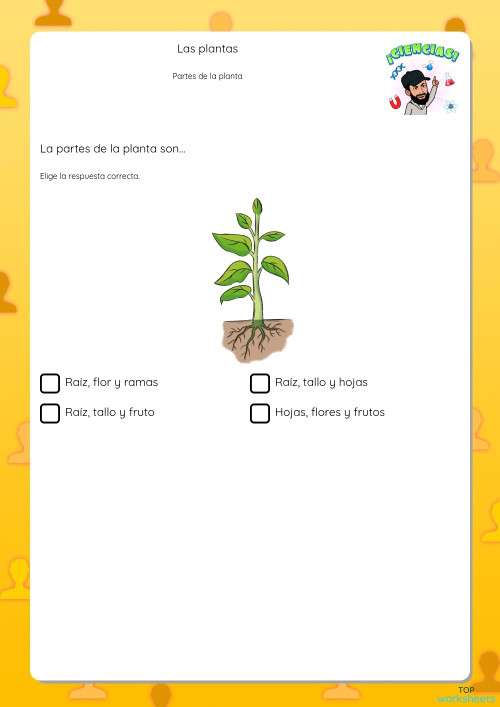 Las plantas. Ficha interactiva | TopWorksheets