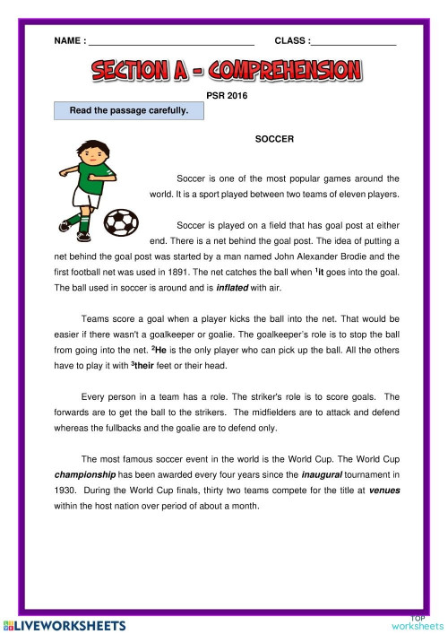 Comprehension - Soccer. Interactive worksheet | TopWorksheets