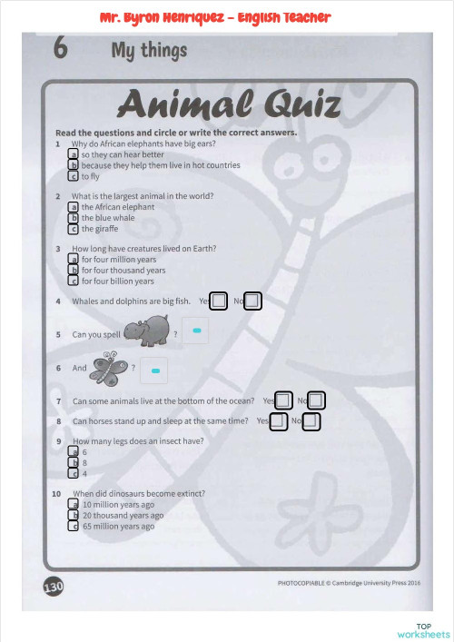 Fun for flyers "Animal Quiz" Unit 6: "My things". Interactive worksheet | TopWorksheets