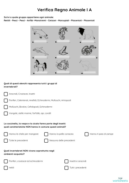 Verifica Regno Animale I A. Scheda interattiva | TopWorksheets