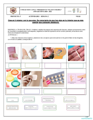 Métodos Anticonceptivos Ficha Interactiva Topworksheets