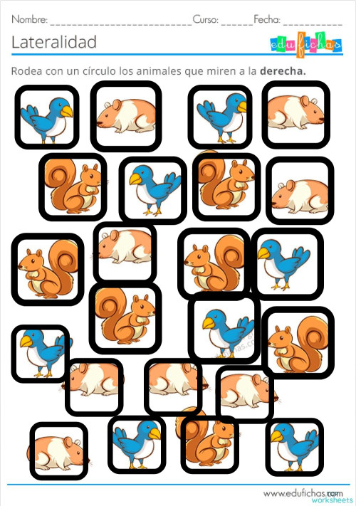 Lateralidad manos. Ficha interactiva | TopWorksheets