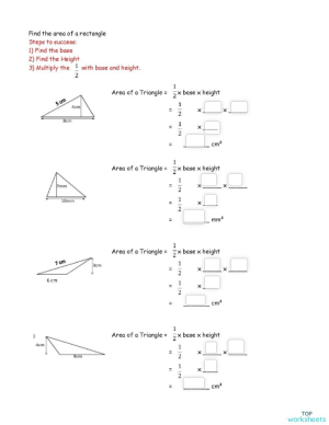 Area of triangle2. Interactive worksheet | TopWorksheets