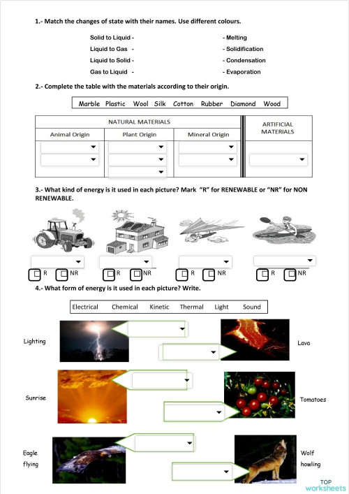 Matter and energy: interactive worksheets and online exercises ...
