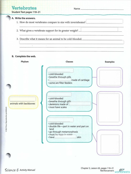 Lesson 63: Vertebrates Pg 81. Interactive worksheet | TopWorksheets