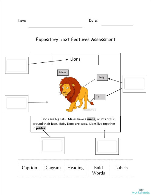 Expository Text Features. Interactive worksheet | TopWorksheets