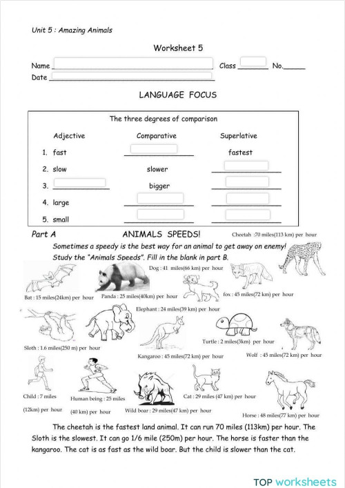 comparions : Animals Speeds. Interactive worksheet | TopWorksheets