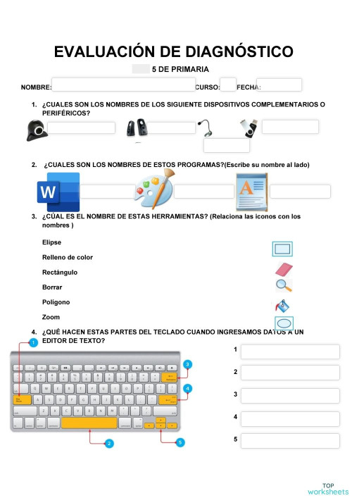 Evaluación diagnotico 5 de Primaria. Ficha interactiva | TopWorksheets