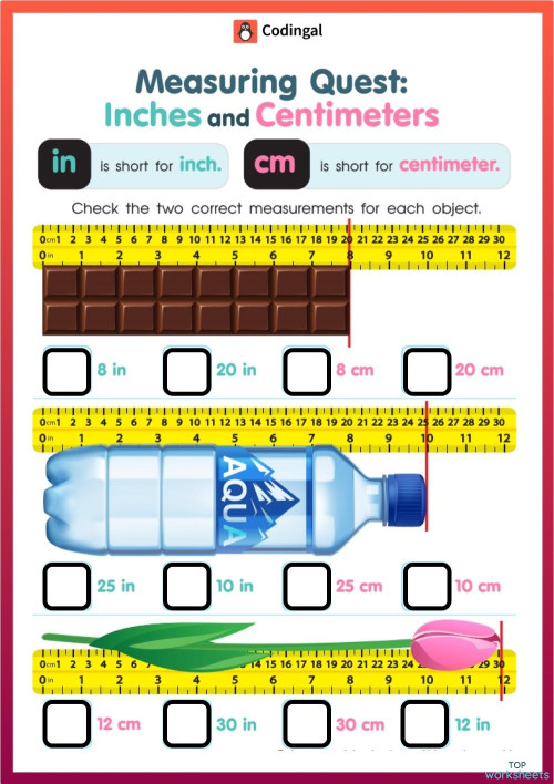 M_G01M12L43_WC02_Measuring_Length_(Centimeters_and_Inches)_2 ...