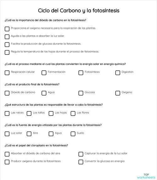 Ciclo del Carbono y la fotosíntesis. Ficha interactiva | TopWorksheets