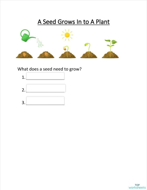 A Seed Grows In to A Plant (A). Interactive worksheet | TopWorksheets