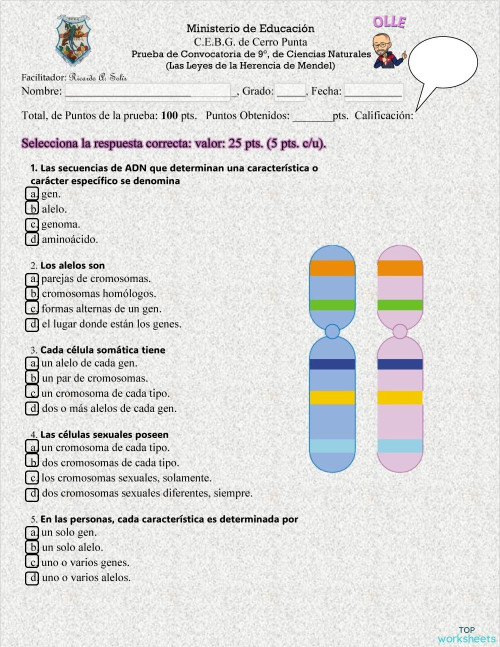 Examen De Convocatoria De 9° 2 Ficha Interactiva Topworksheets
