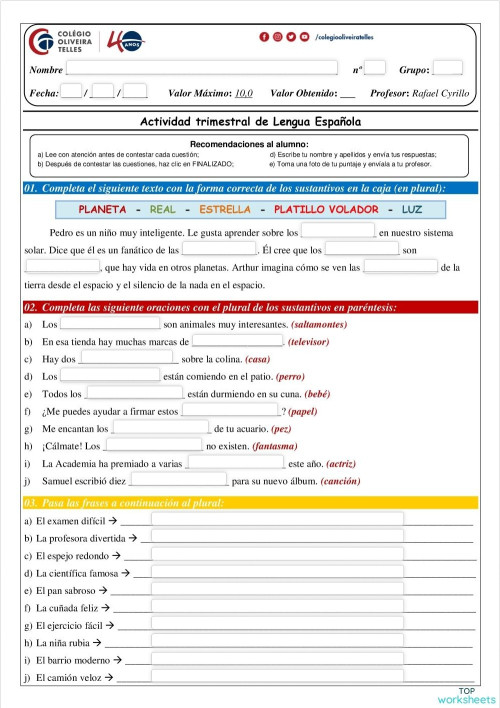 Plural de los sustantivos y adjetivos. Ficha interactiva | TopWorksheets