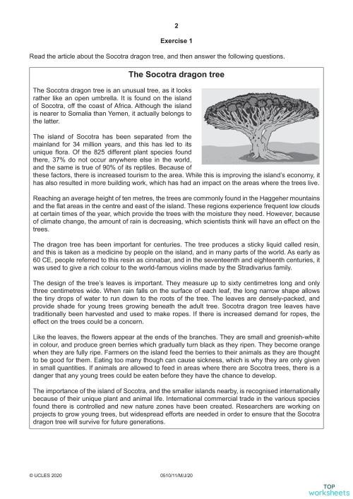 IGCSE Ex 1-4. Interactive worksheet | TopWorksheets