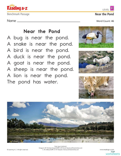 Level B: Near the Pond. Interactive worksheet | TopWorksheets