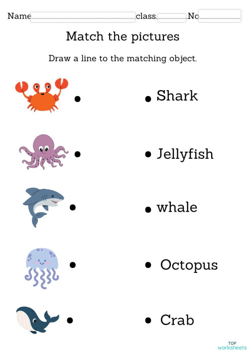 Sea creature match the pictures ใบงานเชิงโต้ตอบ | TopWorksheets