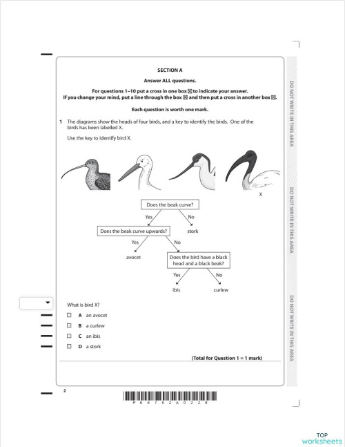 iPrimary 2. Practice. Interactive worksheet | TopWorksheets