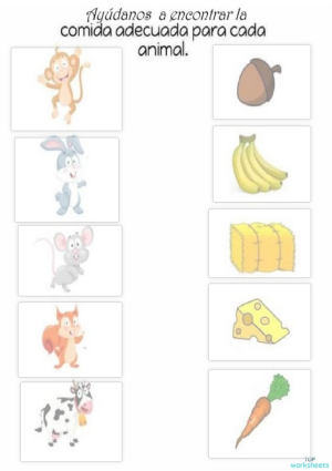 Fichas interactivas y ejercicios online en español | TopWorksheets