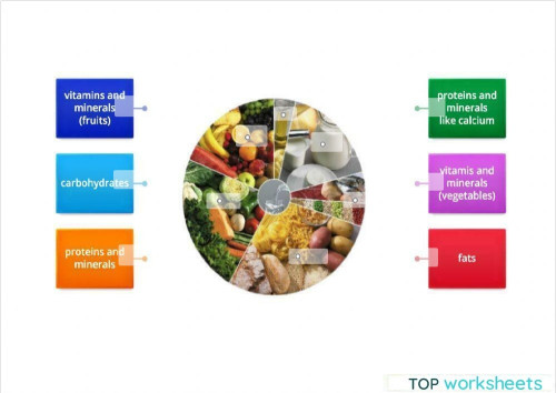 The food wheel. Interactive worksheet | TopWorksheets