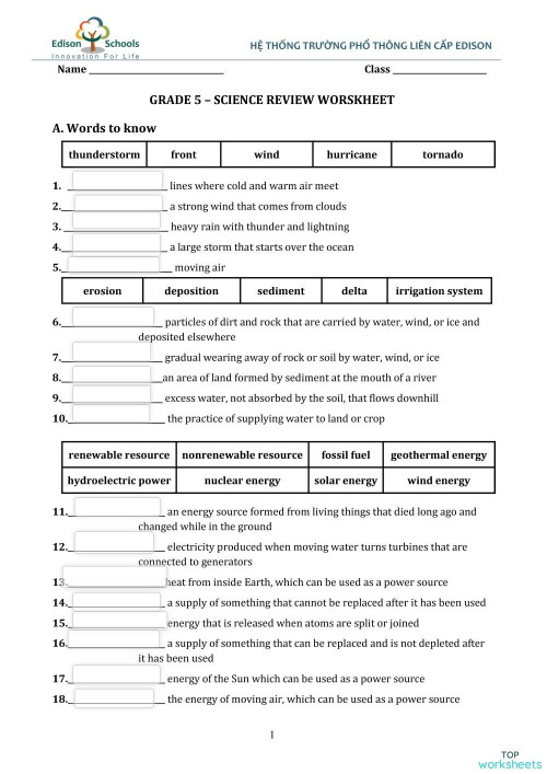 Grade 5. Revision handout for Mini Test 4. Interactive worksheet ...
