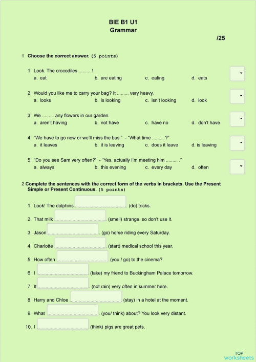 BIE B1 U1 Grammar: Present simple and continuous; stative verbs ...