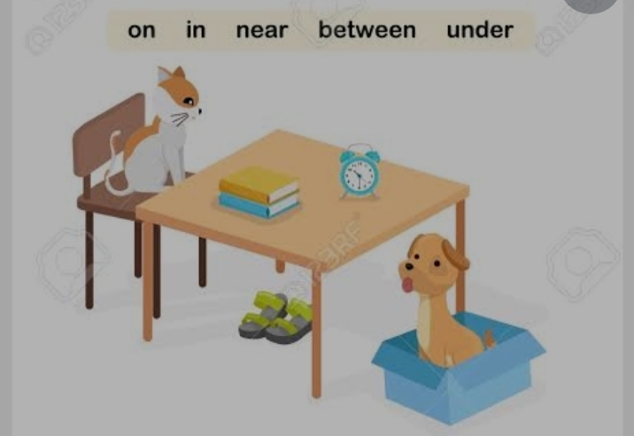 Preposition. Interactive worksheet | TopWorksheets