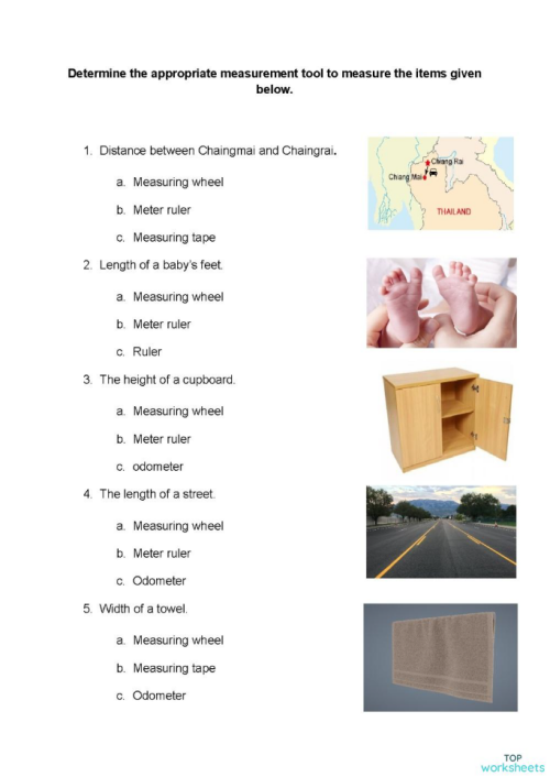 measuring tools. Interactive worksheet | TopWorksheets