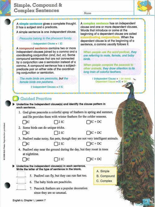 Simple, Compound & Complex Sentences Pg 13. Interactive worksheet ...
