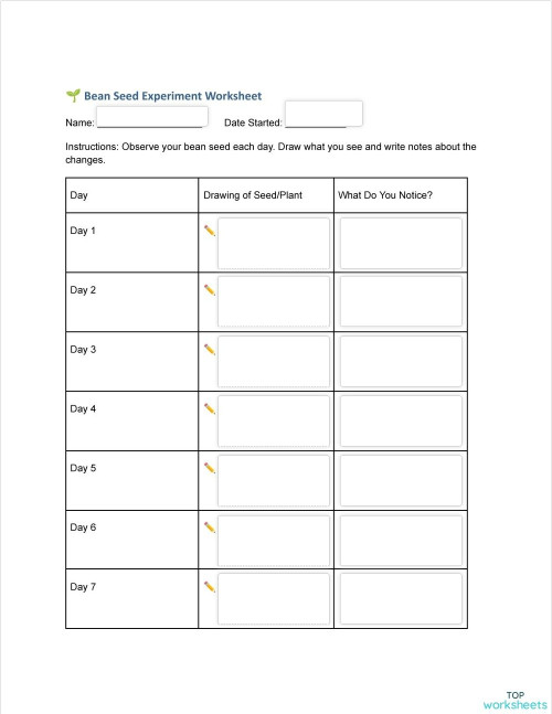 🌱 Bean Seed Experiment Worksheet. Interactive worksheet | TopWorksheets