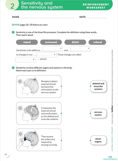 Review unit 2. Interactive worksheet | TopWorksheets