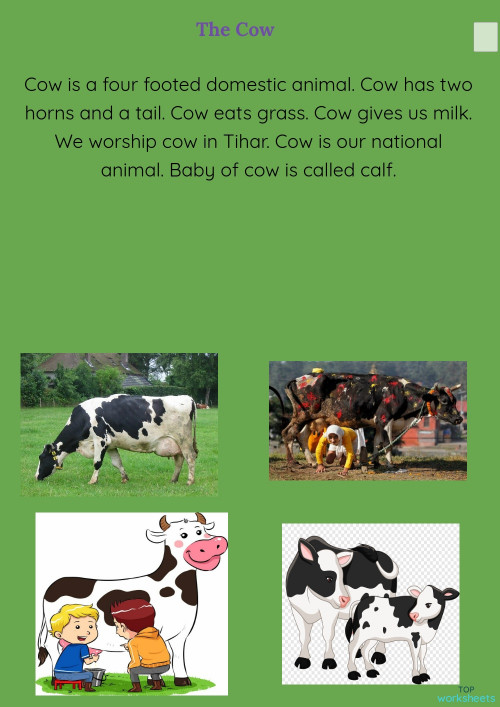 The Cow is a domestic. Interactive worksheet | TopWorksheets