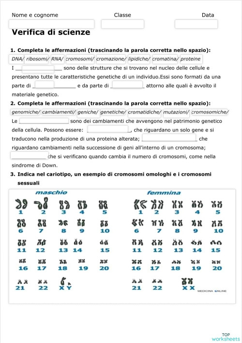 Verifica di Biologia molecolare. Scheda interattiva | TopWorksheets