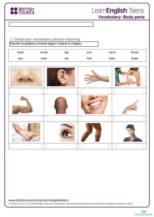 10 words body. Interactive worksheet | TopWorksheets