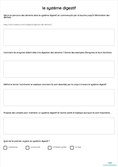 le système digestif. Fiche interactive | TopWorksheets