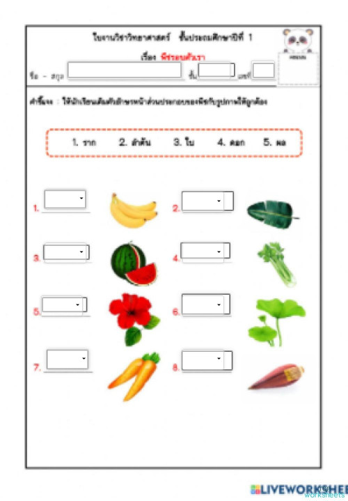 Ws3_drop down2 ใบงานเชิงโต้ตอบ | TopWorksheets
